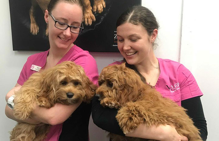 Set4Vets Program - VetLove Central