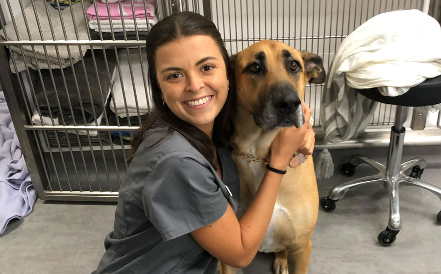 Veterinary Nurses - VetLove Central