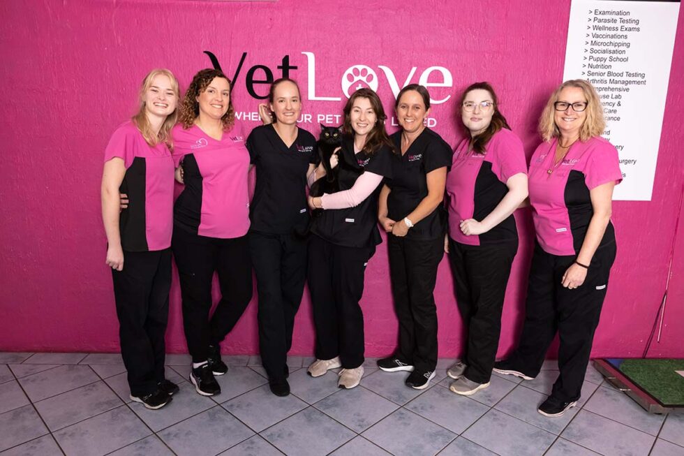 Veterinarians - VetLove Central