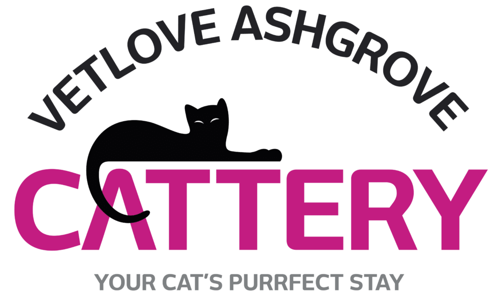 VetLove Ashgrove - VetLove Central